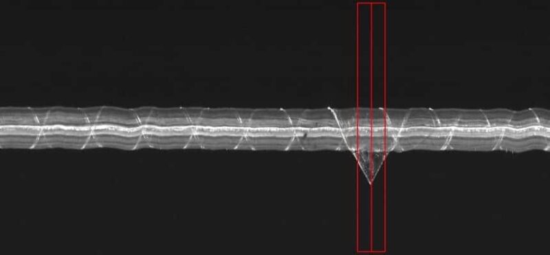 Wrap Defect and Flaws Inspection Machine WI1300 | Taymer International